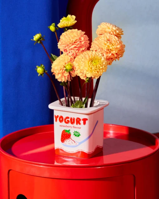 Pot Yoghurt Strawberry Fluid Market pour Plantes En Vedette